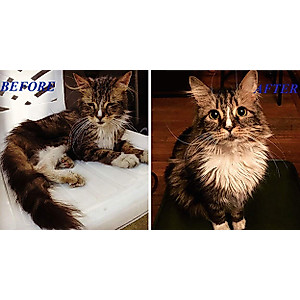 X2 Pcs(100ml) Multivitamin Daily Essential Cat Food Vitamins & Minerals Omega3, Helps Support Health, More Fat, Digestion, Skin, Coat, Allergy Immune Supplement Nourished Blood & Eye