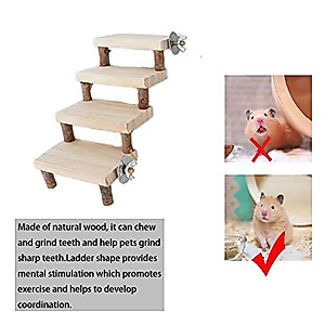 Hamster Chew Toys,Guinea Pig Wooden Molar Toys Wooden Stair and Drill Pipe Set Safe Climbing Protect Teeth Health for Golden Silk Bear Totoro Hamster Guinea Pig Gerbil Etc