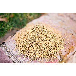 Hygain TRU GAIN - High Fat Conditioner - Rice Bran Oil Pellet with Vitamin E and Selenium