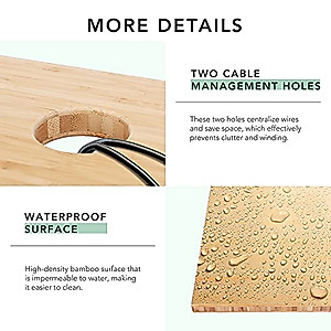 FLEXISPOT Pro Bamboo 3 Stages Dual Motor 60x30 Inch Electric Standing Desk Bamboo Contour Whole-Piece Board Height Adjustable Desk Electric Stand Up Desk (White Frame + Bamboo Curved Desktop)