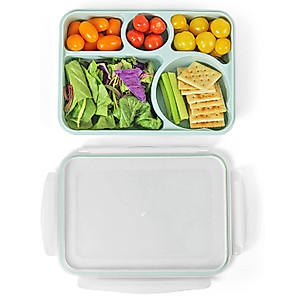 carrotez Portion Control Plate, Microwave Food Storage Tray, 5 Compartment Divided Plate with Lid, Top Rack Dishwasher Safe, BPA Free