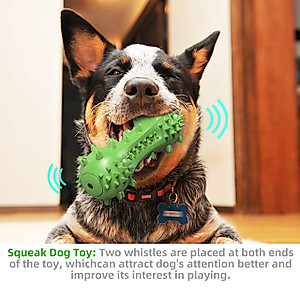 N/C Dog Toothbrush, Dog Toothbrush Toy for Dog Teething Cleaning, Puppy Teething Chew Toys, Dental Oral Care for Small Medium Dogs.(Green)