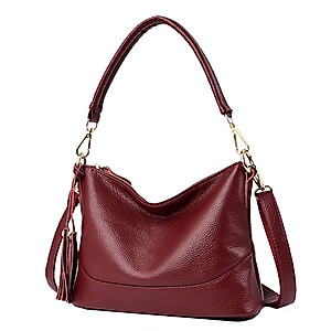 Mudono Crossbody Bag for Women Leather Shoulder Bag Tassel Satchel Retro Handbag Lightweight Purse