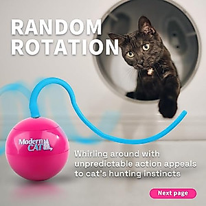 ALL FOR PAWS Interactive Cat Ball Toy