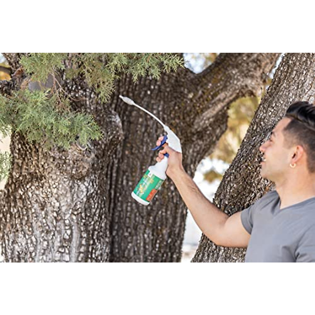 Donaldson Farms Carpenter Bee Killer Spray for Insects All Natural ...