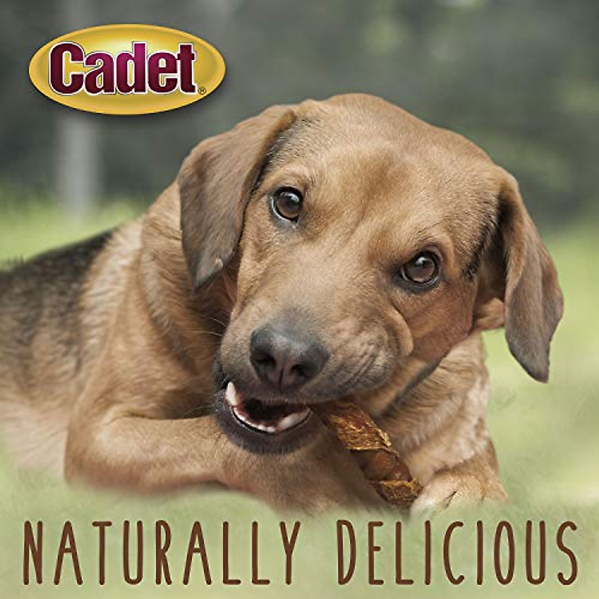Cadet Gourmet Triple Chews Pork Hide, Sweet Potato, & Chicken Dog Treats - Healthy Dog Treats for Small & Large Dogs - Inspected & Tested in USA (6 Count)