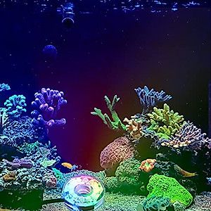MiOYOOW LED Aquarium Light, Colorful Submersible LED Light Waterproof USB Underwater Light for Aquarium Fish Tank