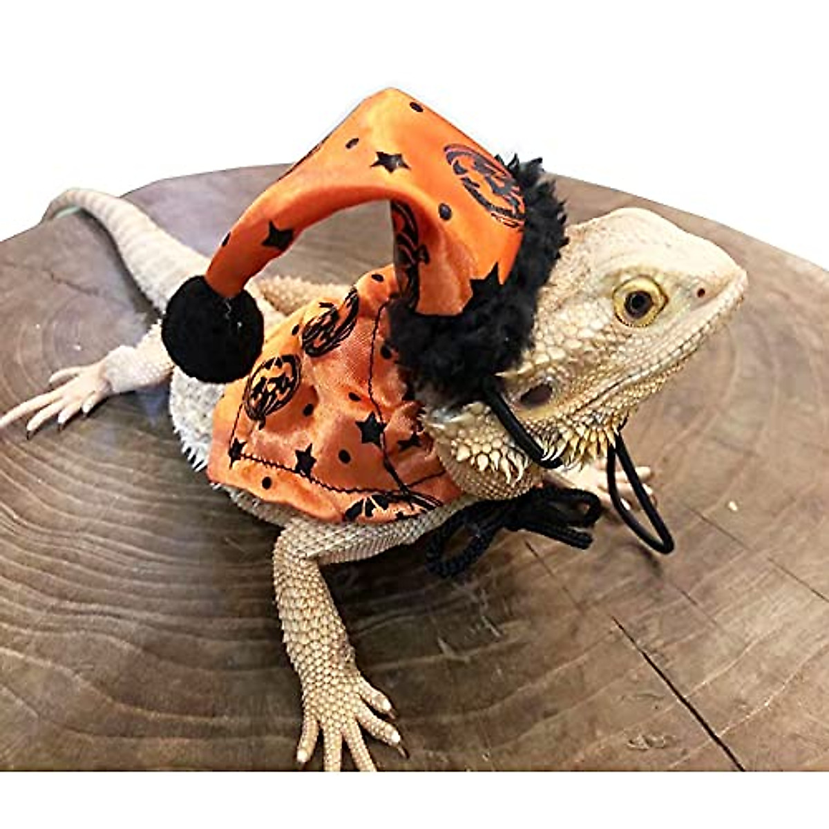 Lizard Clothes for Bearded Dragon - Halloween Hat and Cloak Set Adjustable Halloween Costume Xmas Gifts Pets Apparel for Bearded Dragon Rabbit Guinea Pig Ferret Hedgehog (Halloween Hat & Cloak Set)