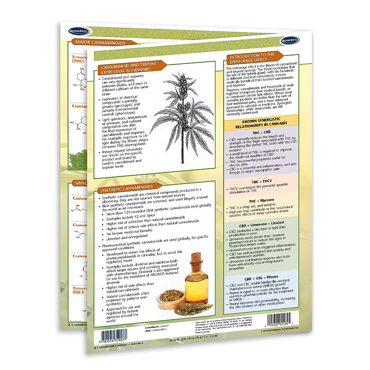 CBD Educational Charts - 8 Chart Bundle - Quick Reference Guides - Cannabinoid Educational Series by Permacharts