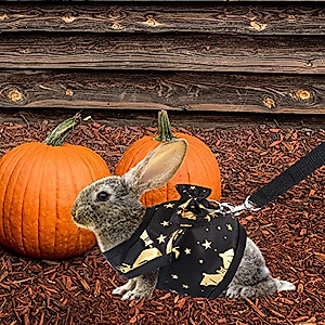 Filhome Halloween Rabbit Harness Leash, Bat Wizard Bunny Vest Harness Leash Cosplay Halloween Party Decoration for Rabbit Ferret Bunny Kitten Guinea Pig