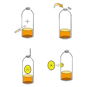 Wasp Trap 10Pack Indoor Outdoor Reusable Wasp Traps Hornet Hanging for Yellow Jackets Bee Catcher ​