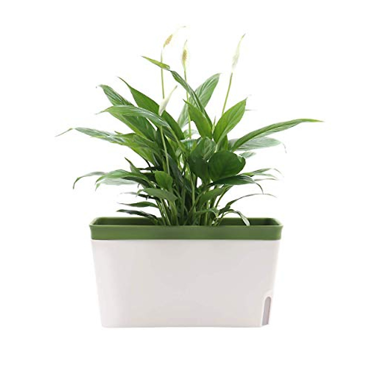 GardenBasix Self Watering Planter Pots Window Box for Indoor Plants Home Garden Modern Decorative Flower Pot for All House Herbs Succulents Set of 6 (6, Green(Rectangle))