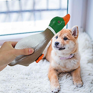 POPETPOP Dog Squeak Toy, Latex Duck Puppy Chew Toy Dog Teething Cleaning Toy Cute Dog Biting Toy Pet Mallard Duck Toy Interactive Plaything for Small Medium Dogs