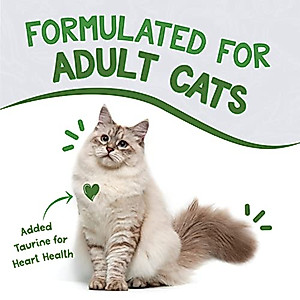 Earthborn Holistic Chicken Catcciatori Grain-Free Moist Cat Food 3 Ounce (Pack of 24)