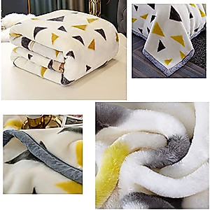 Queenshin Cozy Plush Simple Big Triangle Print Flannel Fleece Blanket, 800 GSM Super Thick Soft Raschel Throw for Sofa Couch Bed 60 * 80 inch, White