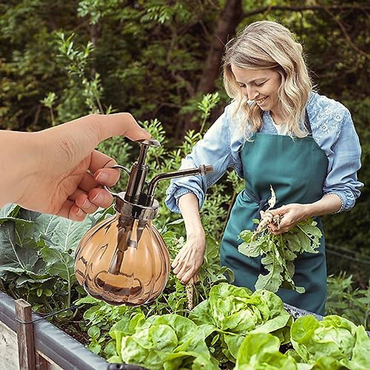 SAFIGLE Watering can Plants Spray Mister Glass Mister Spray Bottle Water Spritzer for Plants Succulent Accessories Succulent Watering Bottle for Home Balcony Glass Spray Bottle