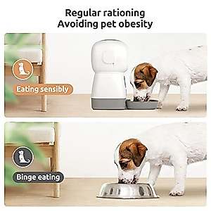 KutoraWorks Automatic Cat Feeder, Dog Food Dispenser with Rotary Lock Lid, Visual Window, Memory Function, Voice Recorder, Stainless Steel Dish, 0-20 Portion Control for 1-4 Meals Daily, 118oz