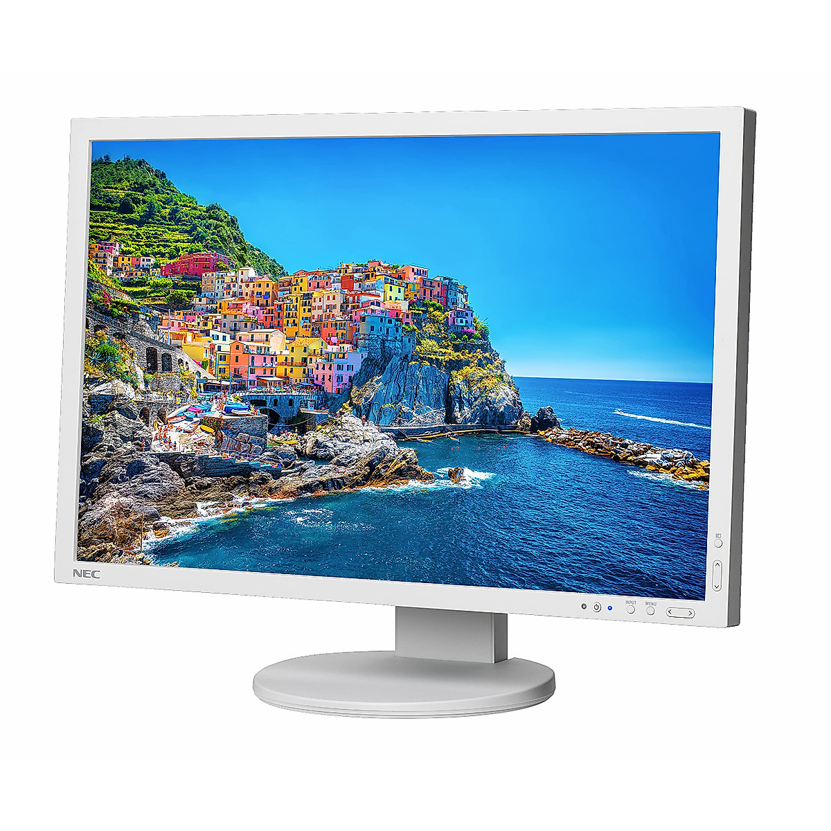 24IN WS LCD 1920X1200 PA243W DP