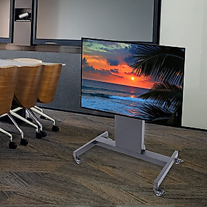 Confidence Monitor Stand, Rolling TV Stand with Height Adjustment（20.87-26.57 inch） and 0-90 Degree Tilt Adjustment, Mobile TV Cart, Low Profile Floor Confidence Monitor Cart for 32-65 inch Screen