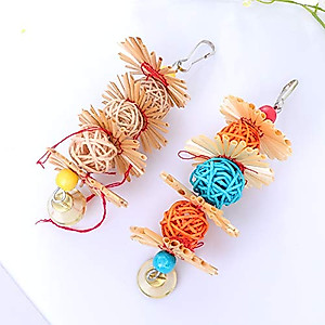 Scicalife 2pcs Parrot Biting Toy Hanging Rattan Ball Bell Parrot Cage Pendant Birds Playing ToyPet Gift