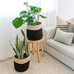 Large Rope Baskets + Set of 2 Planter Baskets - HONEY/BLACK