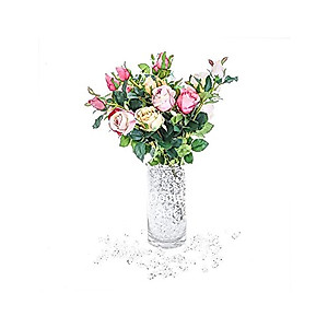 DomeStar Fake Ice Cubes, 4.4Lbs 1,000PCS Acrylic Ice Cubes Clear Rocks Fake Diamonds Clear Acrylic Vase Filler Plastic Crystals Clear Fake Crushed Ice Rocks Acrylic Gems