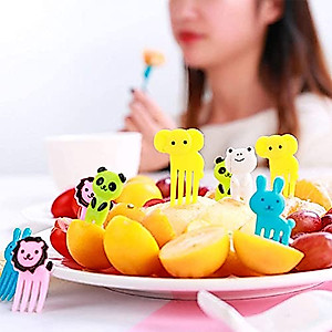 Sandwich Cutters Shapes Set for Kids Bread Vegetables Fruits Cheese Shapes Mold Supplies Crust Bento Lunch Box Accessories and Uncrustable Sealer