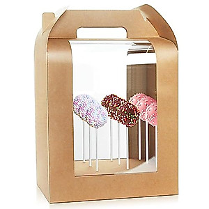 Vowcarol Portable Cake Pop Holder Boxes Cake Pop Display Stand with Cover Candy Apple Boxes with Hole Cake Pop- Packaging - 6 Packs