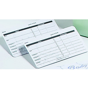 Baby Briefcase Baby Paperwork Organizer, Mint/Periwinkle