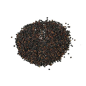 Seed Needs, White Baby's Breath Seeds - 2,000 Heirloom Seeds for Planting Gyposophila elegans (2 Packs)