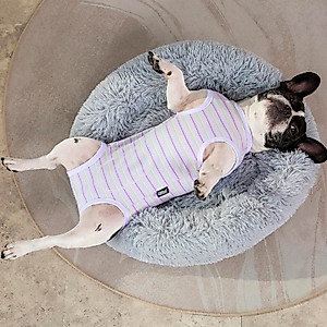 Puppy Striped Recovery Suit for Female Male Dogs Cats,Zip Up Dog Onesie Recovery Shirt Abdominal Wounds,Professional Spay Neuter Dog Pet Bodysuit After Surgery Wear Anti Licking Wounds