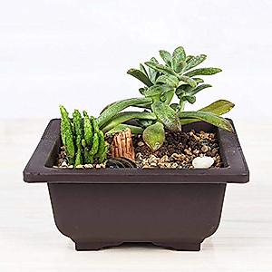 MNTT Plant Pots,Modern Decorative Retro Balcony Succulents Squar Rectangle for Nursery Garden Supplies Bonsai Planters(Rectangle L)
