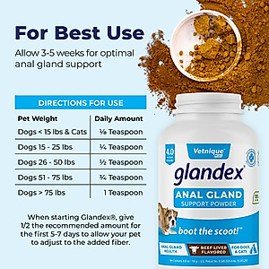 Glandex Fiber Supplement for Dogs Beef Liver Powder 4.0oz and Dermabliss Allergy Chews 60ct Hickory Salmon, Dog Vitamins and Supplements, Dog Allergy Chews Bundle