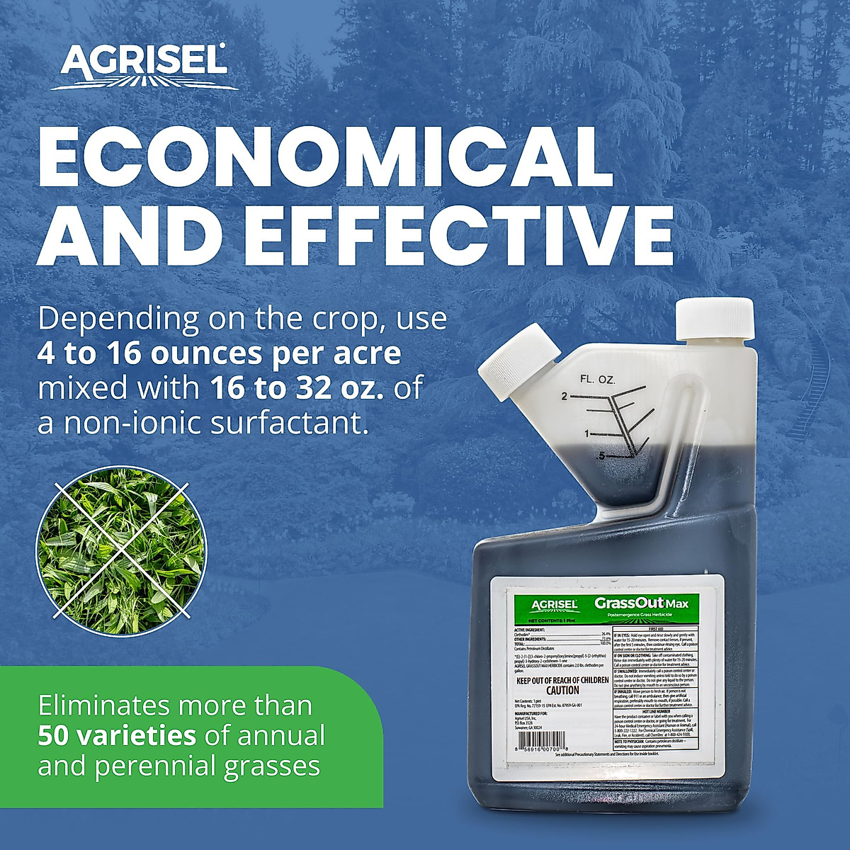 Agrisel GrassOut Max Weed Killer, Targets 50+ Grassy Weeds Without Harming Desired Plants, Pet Safe, Large Area Treatment, Easy Application, Includes 3-Pack of Agrisel Protective Gloves, 16 Ounces