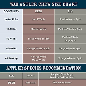 Amazon Brand - Wag Dog Deer Antler Chew, Naturally Shed, Whole, Large 8-9.5 inches (Best for Dogs 30-45 lbs)