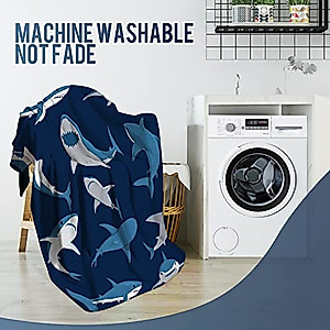 Levens Shark Blanket Gifts for Women Girls Men, Ocean Animal Decoration for Home Bedroom Living Room All Seasons, Soft Comfy Smooth Lightweight Throw Blankets 50"x60"