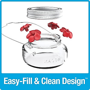 Nature's Way Bird Products MJF1 Nature's Way Mason Jar Hummingbird Dish Feeder, Clear 4" dia.