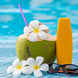 DOITOOL 200Pcs Plastic Straws Disposable Drinking Straw Friendly Straws Purple Straws for Party Wedding Events