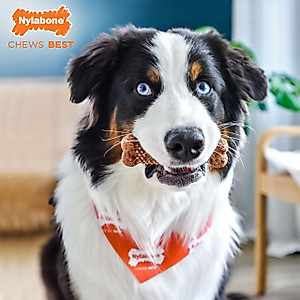 Nylabone Healthy Edibles Natural Dog Chews Long Lasting Meaty Center Beef Flavor Treats for Dogs, Medium (2 Count)