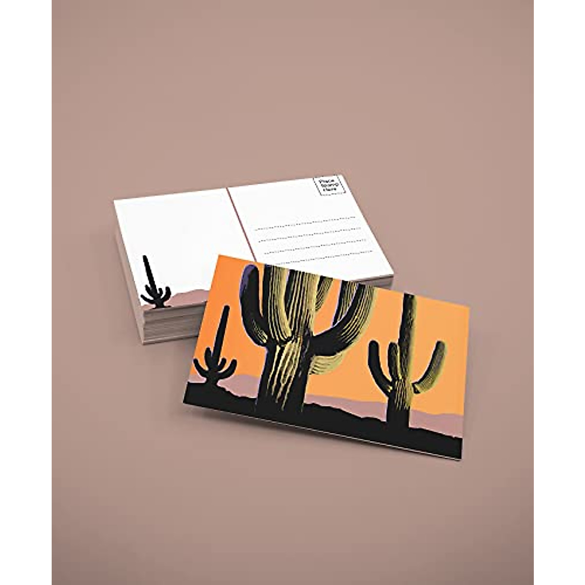 Stonehouse Collection Cactus Postcards - 4 x 6 Western Desert Postcards - 40 Postcards, 4 Different Cacuts Designs