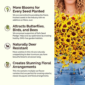 Eden Brothers All Annual Wildflower Mixed Seeds for Planting, 1 lb, 480,000+ Seeds with Sunflower, Indian Blanket, Scarlet Flax | Attracts Pollinators, Plant in Spring, Zones 3, 4, 5, 6, 7, 8, 9, 10