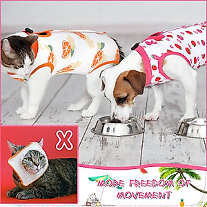 3 Pieces Cat Recovery Suit Kitten Recovery Suit E-Collar Alternative for Cats and Dogs Abdominal Skin Anti Licking Pajama Suit (Fruit Pattern, Medium)