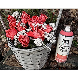 Chalk Finish Spray Paint - 11.8oz Water Based, Ultra Matte. Made With Real Chalk. Multiple Applications Including Furniture & Arts and Crafts. CK788 Broken White
