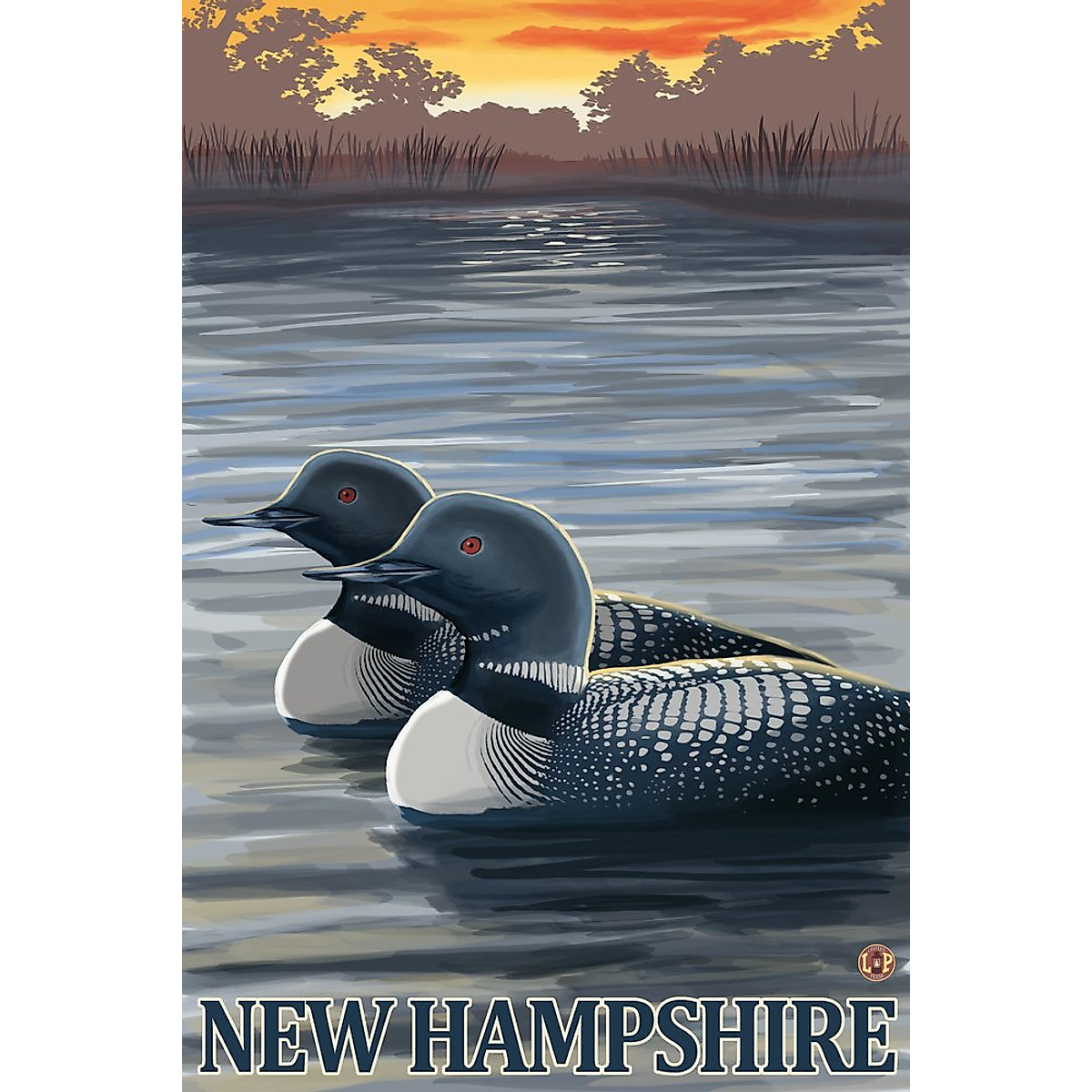 Lantern Press New Hampshire, Common Loon, (24x36 Wrapped Canvas, Wall Decor, Artwork)