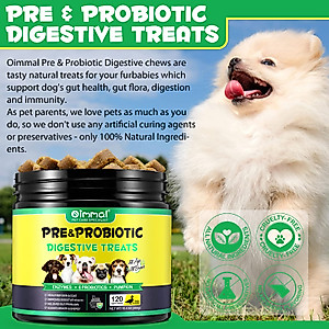 Probiotics for Dogs,Dog Probiotics for Dogs Digestive Enzymes, Gut Health,Itchy Skin, Allergies, Yeast Balance,Immune System and Overall Health Supports,120 Soft Chews,Perking Duck Flavor