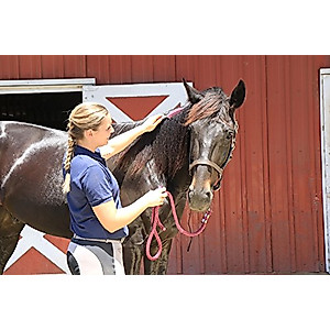 Oster 827570 Equine Care Series Mane & Tail Comb Pink