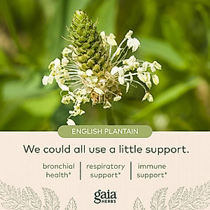 Gaia Kids Bronchial Wellness Syrup - Immune Support Supplement - Overall Throat & Lung Health Support - Certified Organic Formula with English Plantain, Grindelia & Honey - 3 Fl Oz (18 Servings)