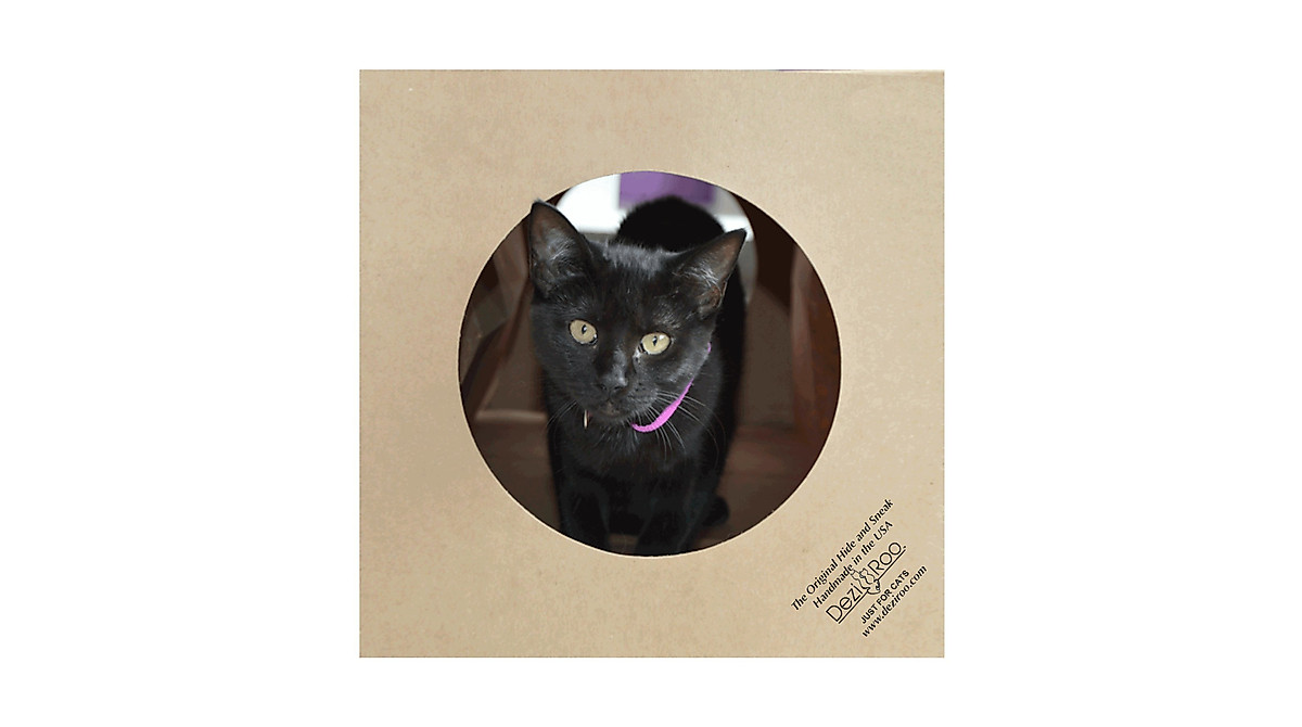 Dezi & Roo Hide and Sneak Cat Tunnel - Fun Interactive Toy