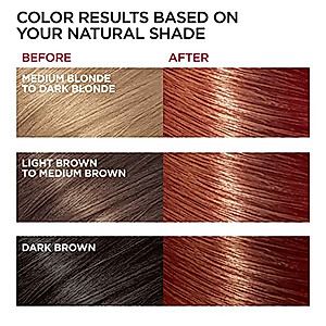 L'Oréal Paris Superior Preference Fade-Defying + Shine Permanent Hair Color, 6AB Chic Auburn Brown, 2 COUNT Hair Dye