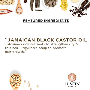 Luseta Castor Oil Shampoo and Conditioner Set Strengthen and Cleanse Thin Hair Restore Damaged Hair Sulfate Free for Men & Women 16.9oz*2